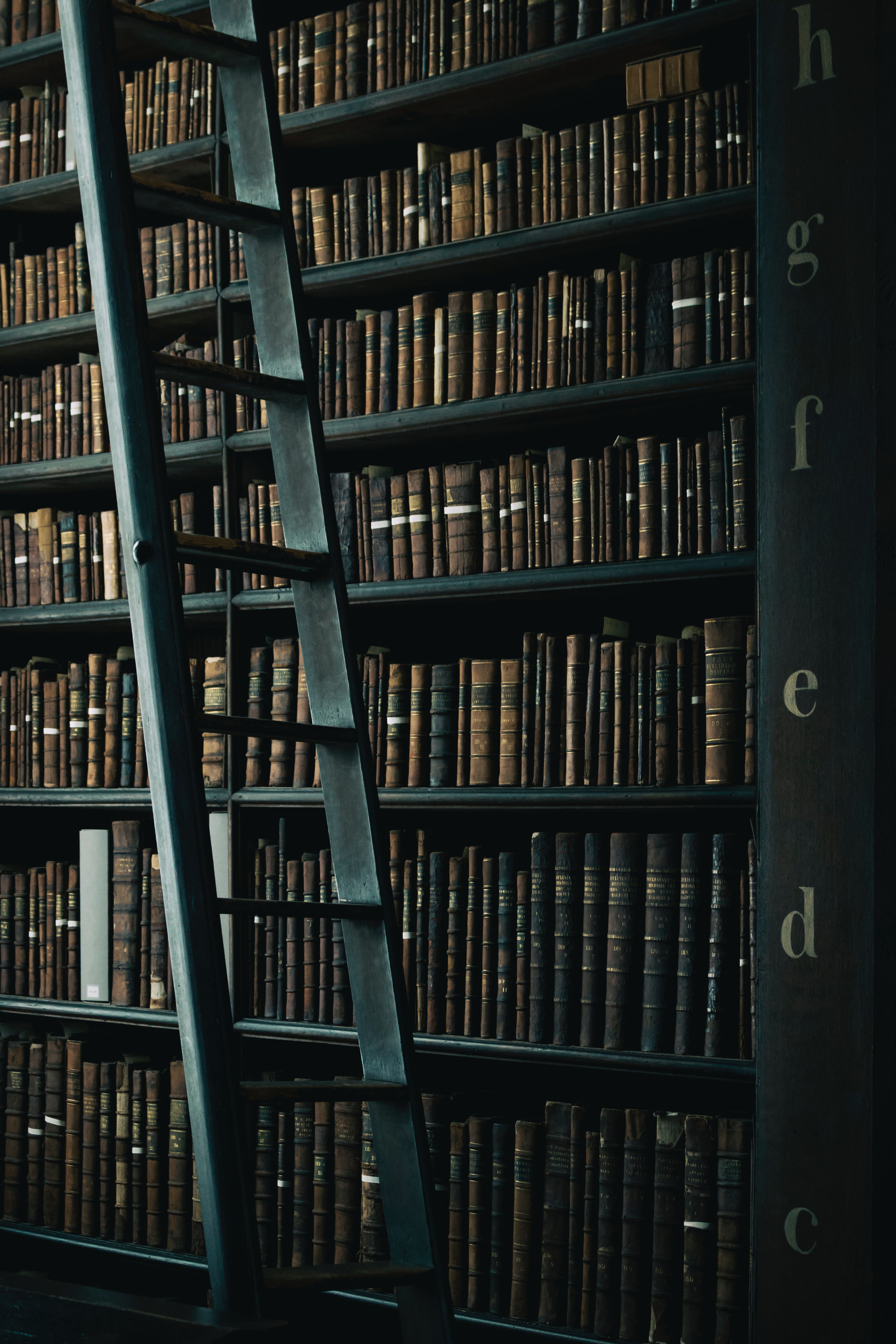 10 Books About Berlin You Must Read to Understand the City | The Columbist