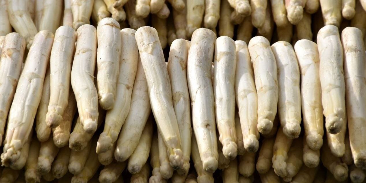 Spargel Season in Berlin: Asparagus Recipes and Fun Facts | The Columbist